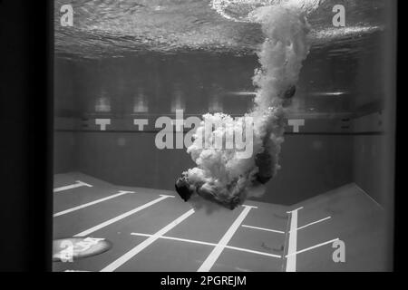 Minneapolis, Minnesota, USA. 23rd Mar, 2023. Underwater view of the ...