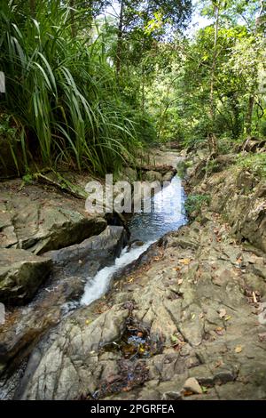 A stream in El Nido, Palawan in the Philippines, flowing through a ...