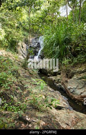 A stream in El Nido, Palawan in the Philippines, flowing through a ...