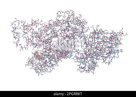 Anthrax toxin lethal factor. 3D cartoon and Gaussian surface models ...