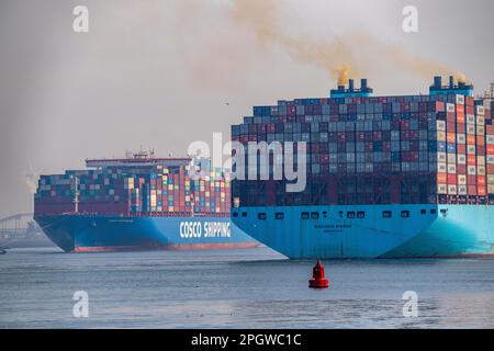 Harbour tugs take the container freighter Madison Maersk from its berth ...