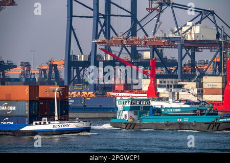 Euromax Container Terminal, Container Frachter Cosco Shipping Universe ...