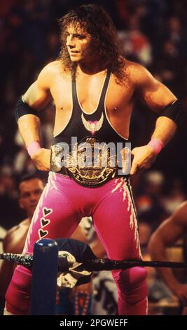 1995 Bret Hart Photo by John Barrett/PHOTOlink Stock Photo - Alamy
