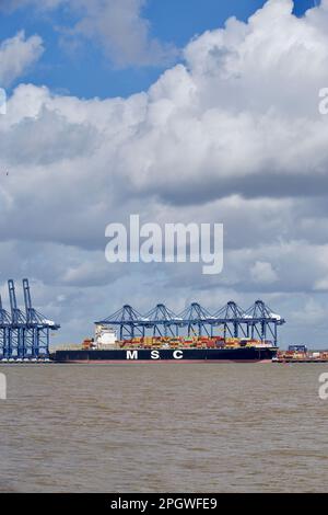 Container ship MSC Ivana berthed at the Port of Felixstowe, Suffolk, UK ...