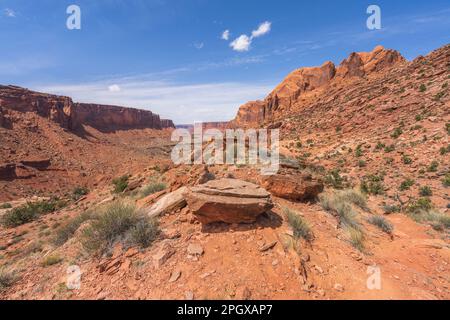 hiking the syncline loop trail in island in the sky district of ...