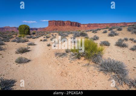 hiking the murphy trail loop in the island in the sky in canyonlands ...