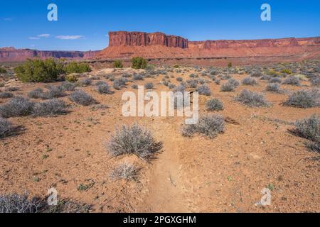 hiking the murphy trail loop in the island in the sky in canyonlands ...