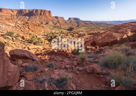 hiking the murphy trail loop in the island in the sky in canyonlands ...