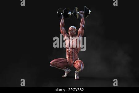 3d Illustration of a muscular man figures pose with skin and muscle map ...