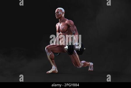 3d Illustration of a muscular man figures pose with skin and muscle map ...