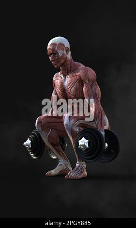 3d Illustration of a muscular man figures pose with skin and muscle map ...