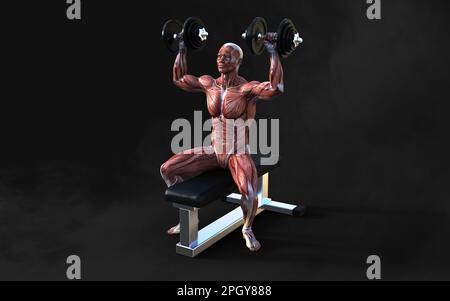 3d Illustration of a muscular man figures pose with skin and muscle map ...