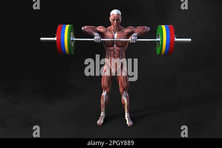 3d Illustration of a muscular man figures pose with skin and muscle map ...