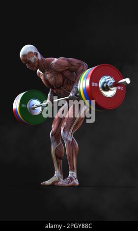 3d Illustration of a muscular man figures pose with skin and muscle map ...