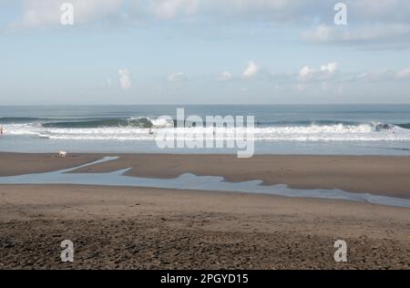 Early morning surfing crowd at popular Canggu beach, Bali, Indonesia ...