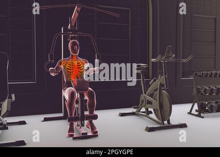 Skeleton training on a hammer strength machine, illustration Stock ...