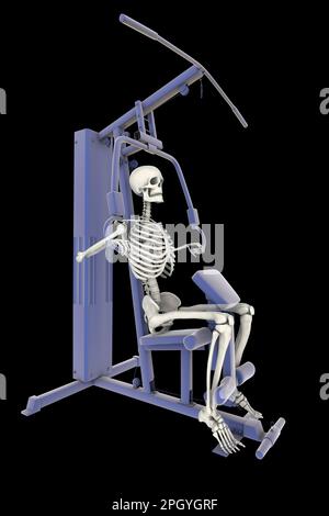 Skeleton training on a hammer strength machine, illustration Stock ...