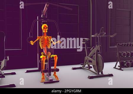 Skeleton training on a hammer strength machine, illustration Stock ...