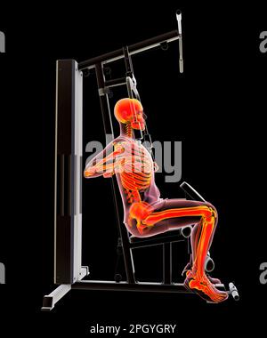 Skeleton training on a hammer strength machine, illustration Stock ...