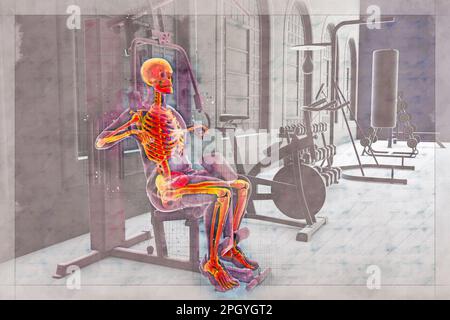 Skeleton training on a hammer strength machine, illustration Stock ...
