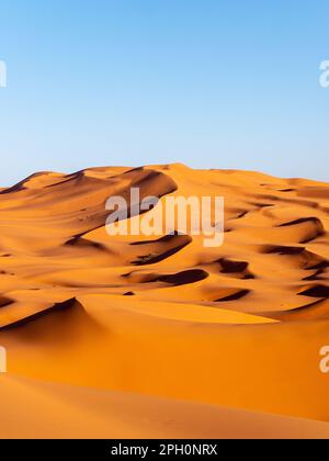 Stunning sand dunes near Merzouga, Morocco during sunset - Landscape ...