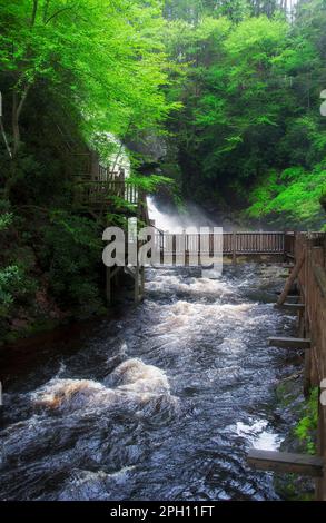 The wooden boardwalk within the bushkill falls scenic area in ...