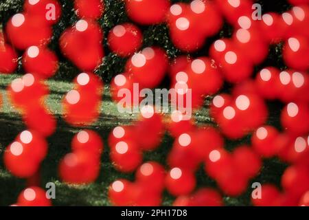 Blurred defocused red balls suspended on wire, outdoor art object ...