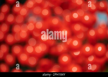 Blurred defocused red balls suspended on wire, outdoor art object ...