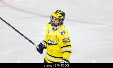 Michigan's Luca Fantilli skates against Colgate during an NCAA hockey ...