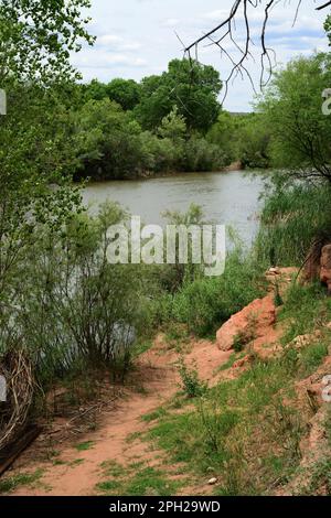 The Verde River in central Arizona and Cottonwood trees along the bank ...