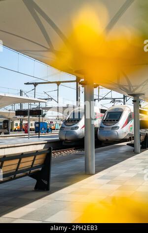 Al Boraq trains in Tangier railway station in Morocco Stock Photo - Alamy
