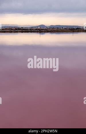 pink lake in mar manor,spain Stock Photo - Alamy