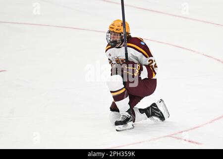 Minnesota forward Bryce Brodzinski celebrates scoring a goal during the ...