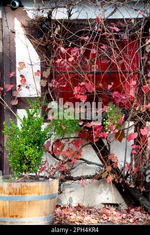 Autumn in Hahndorf - South Australia Stock Photo - Alamy