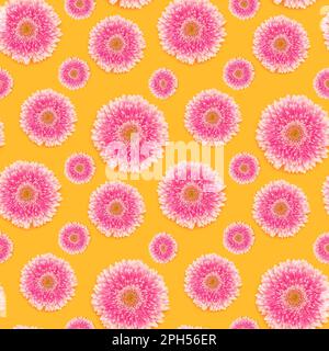 Seamless pattern made of pink gerbera flower on a blue background ...