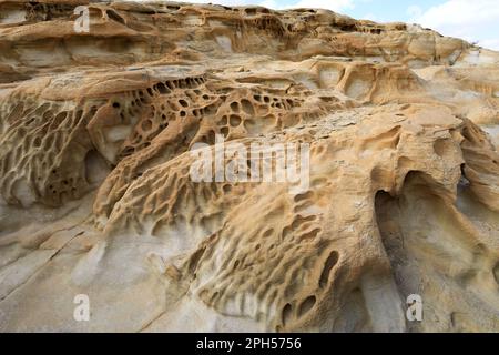 Sandstone patens in Wadi Musa, South Central Jordan, Middle East Stock ...