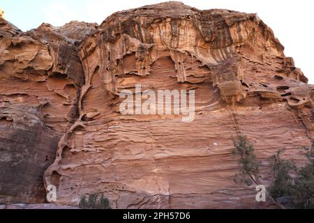 Sandstone patens in Wadi Musa, South Central Jordan, Middle East Stock ...
