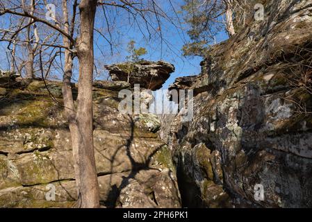 Landscape on the Devil’s Standtable Nature Trail in Giant City State ...
