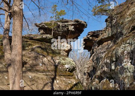 Landscape on the Devil’s Standtable Nature Trail in Giant City State ...