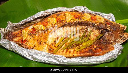 Tambaqui (Colossoma macropomum) traditional Brazilian freshwater fish ...