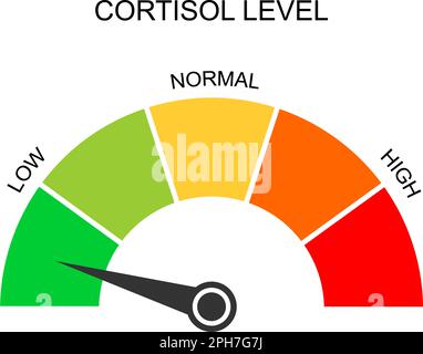 Heart meter levels or gauge icon set in divided pie circles in black ...