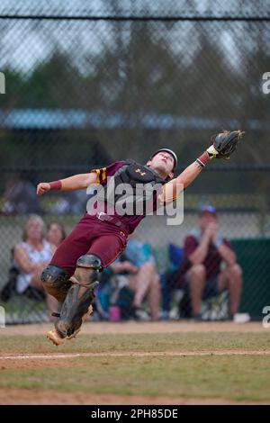 Minnesota Morris Cougars catcher Keegan Jonas (10) during an NCAA ...