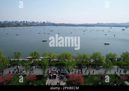 HANGZHOU, CHINA - MARCH 27, 2023 - Tourists view peach blossoms on the ...