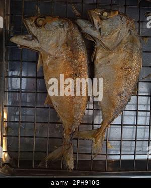 Concept of tasty food with smoked mackerel on wooden background Stock ...