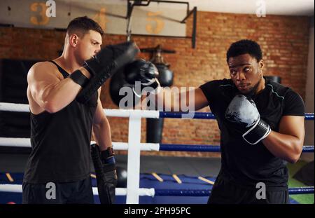 Having boxing practive. African american man with white guy have ...
