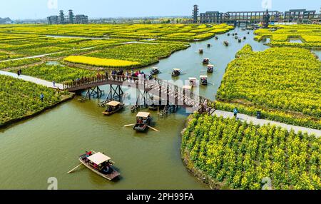 TAIZHOU, CHINA - MARCH 26, 2023 - Aerial tourists enjoy blooming ...