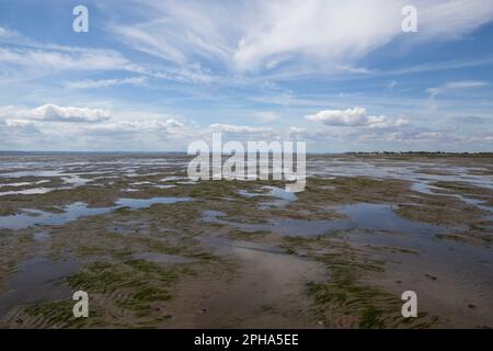 The Broomway, one of the UK's most dangerous footpaths, in the Thames ...
