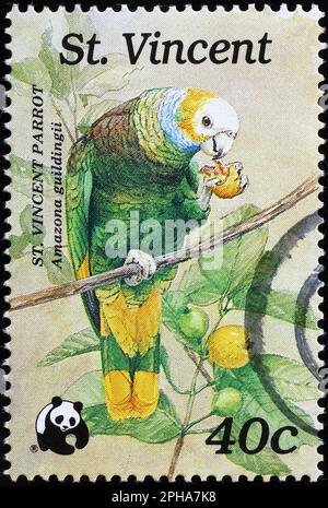 Endemic Saint Vincent parrot on postage stamp Stock Photo - Alamy