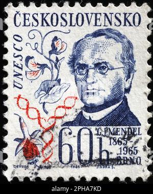 Portrait of Gregor Mendel on postage stamp Stock Photo - Alamy