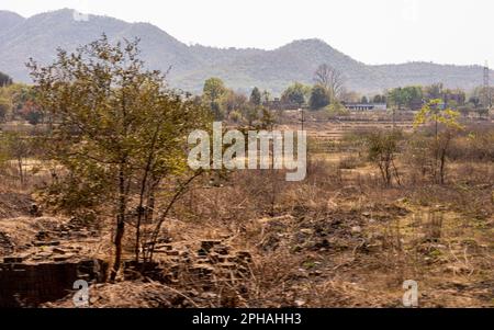 Trees in the fields of Chota Nagpur Plateau against distant mountain in ...